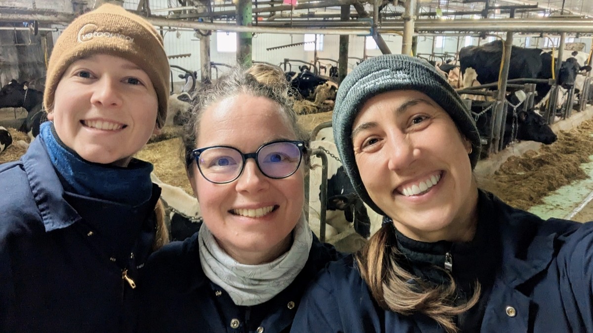 🐄 First Data Collection in Dairy Farms of Bas-Saint-Laurent | José ...